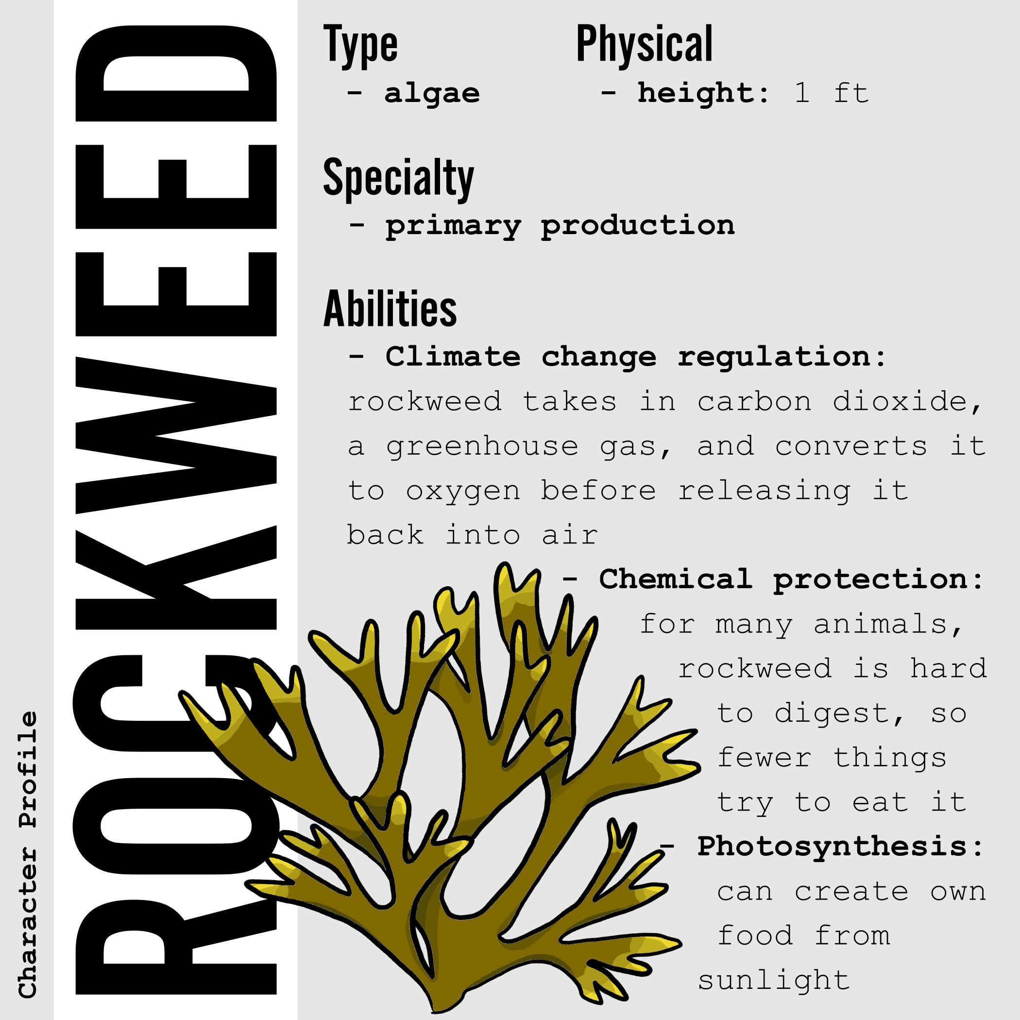 rockweed-profile – Go Forth and Science